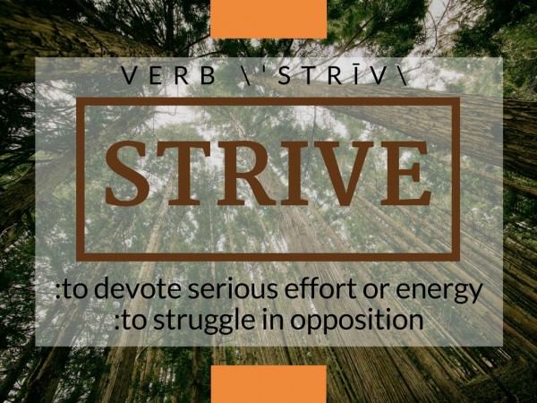 Strive - Shine By Heidi